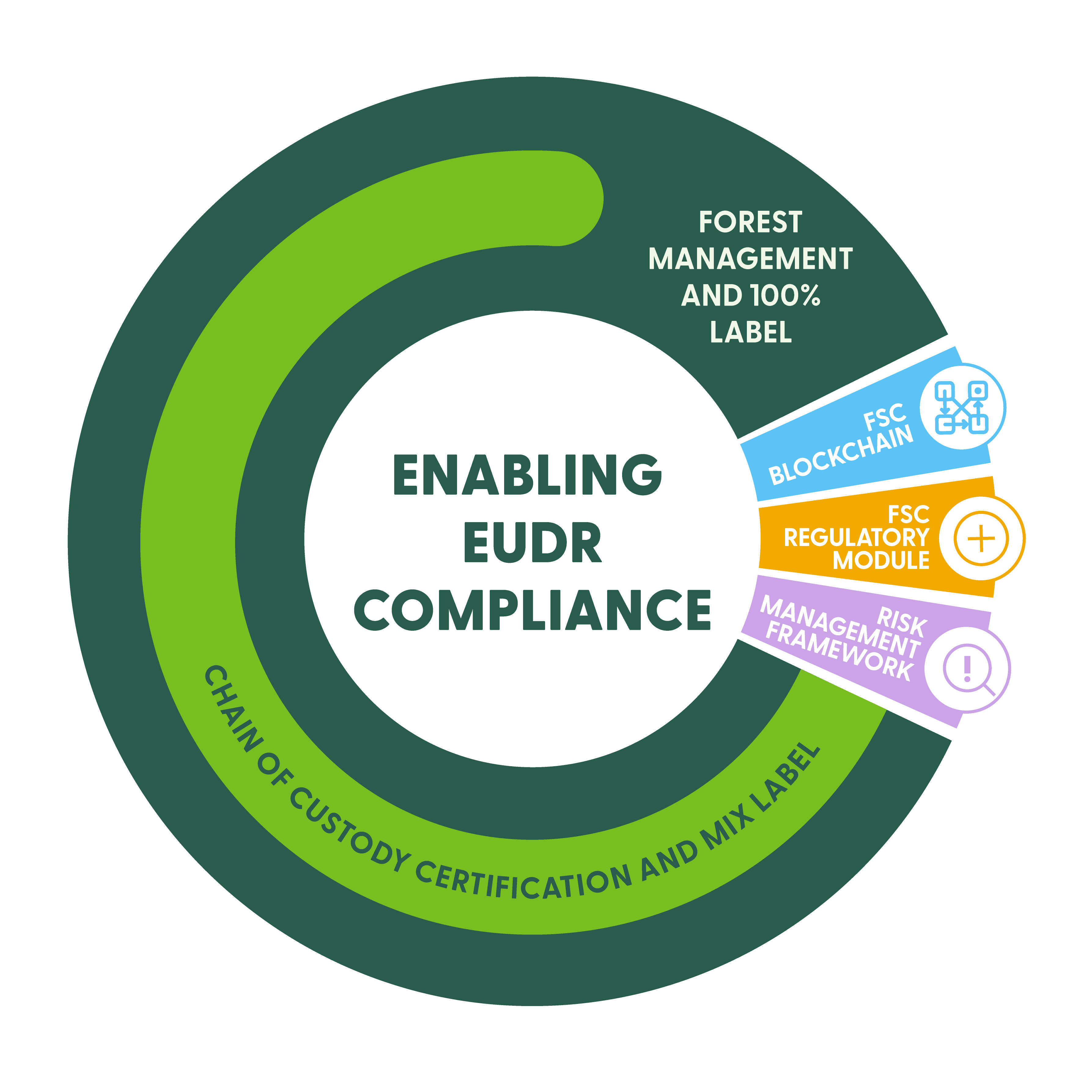 EUDR Infographic - Aligned circle only.png | Forest Stewardship Council